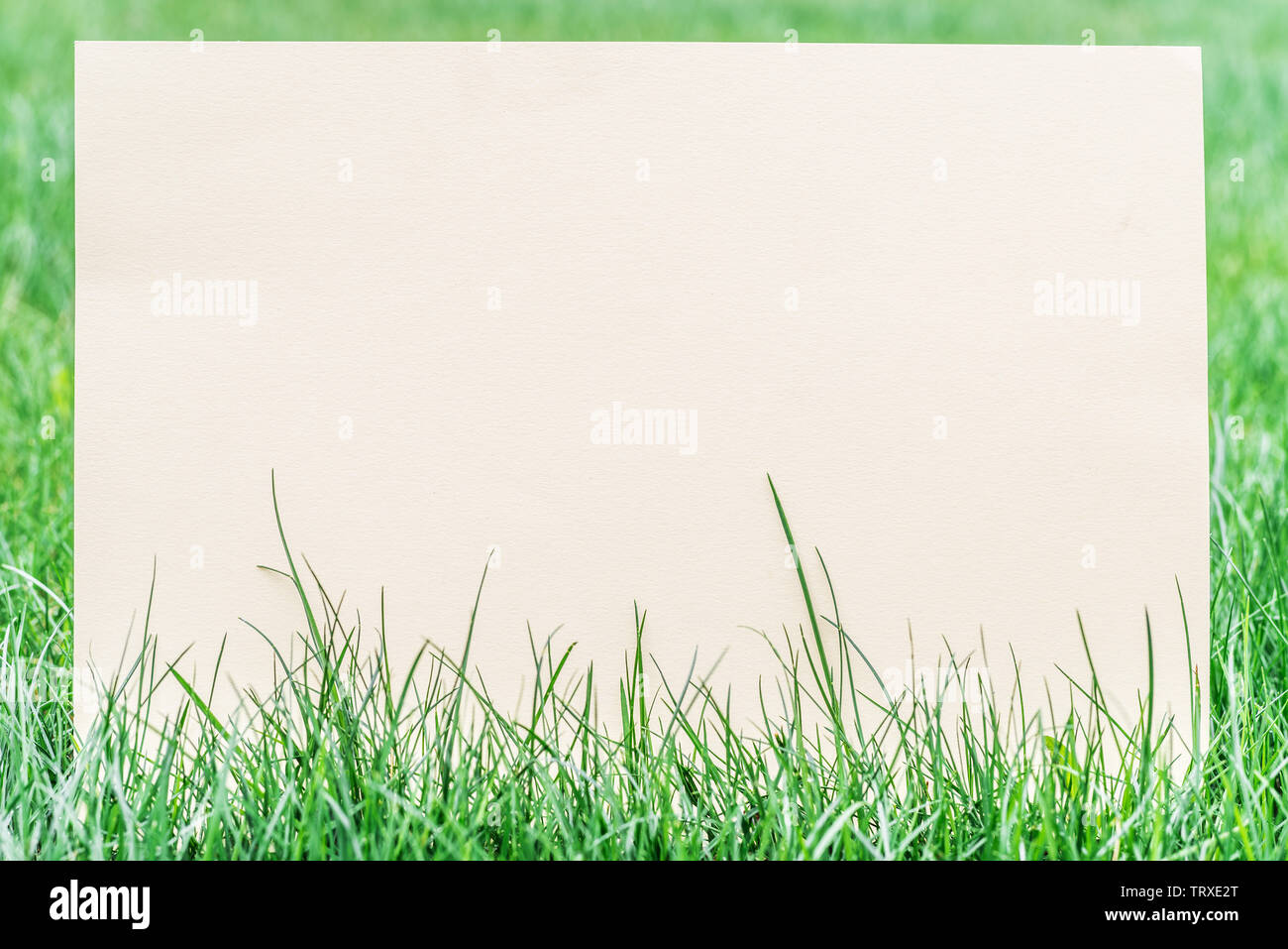 Paper blank on the green grass. Green grass as a frame Stock Photo - Alamy