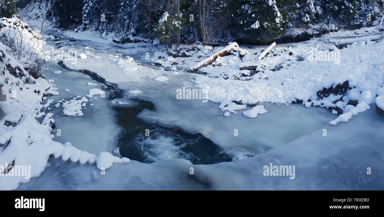 Beautiful winter landscape. Frozen river and green firs covered with snow Stock Photo - Alamy