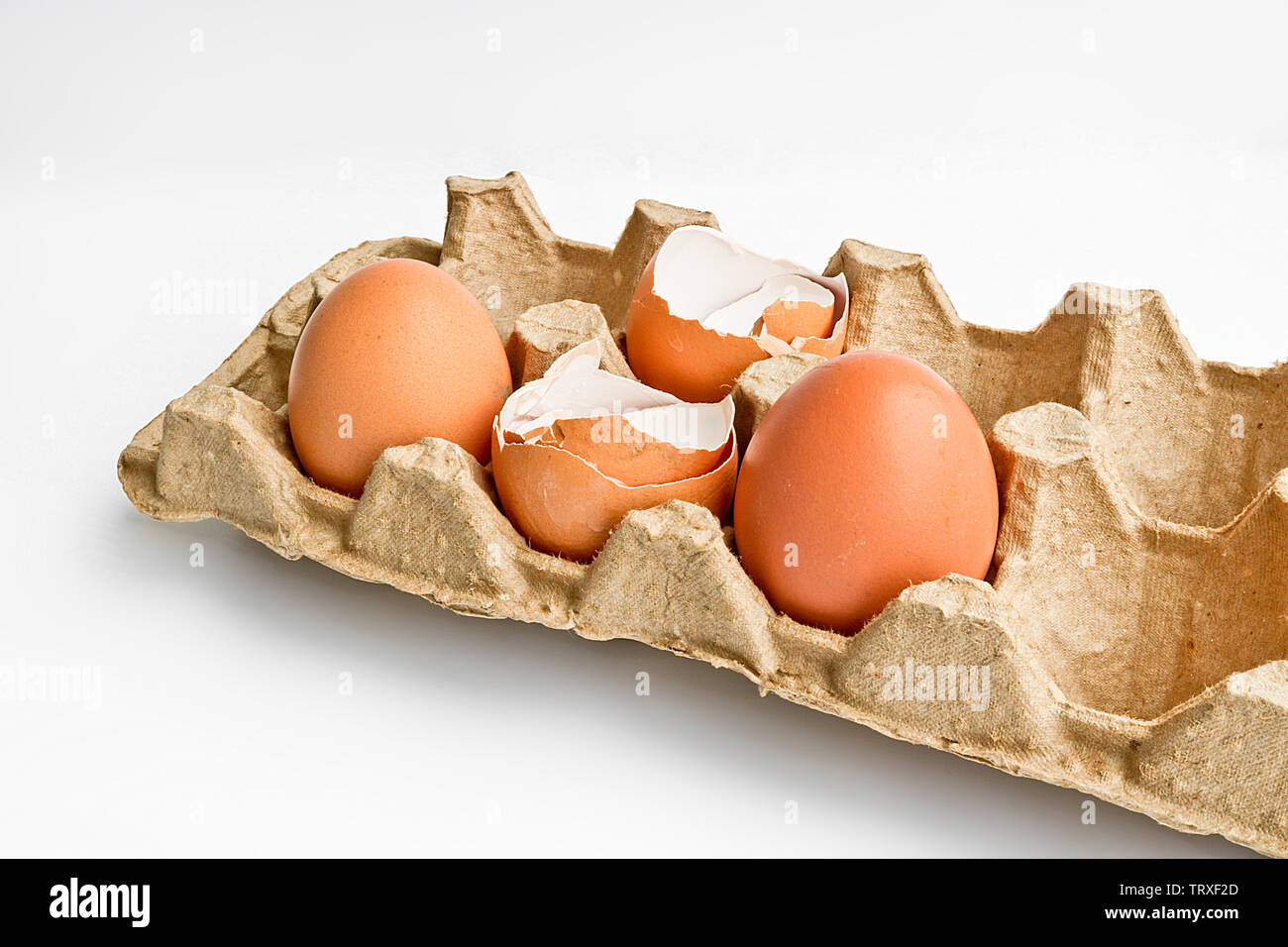 Carton packaging for eggs with broken eggshell and eggs on a light ...
