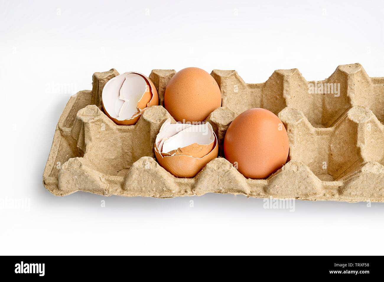 Carton packaging for eggs with broken eggshell and eggs on a light ...