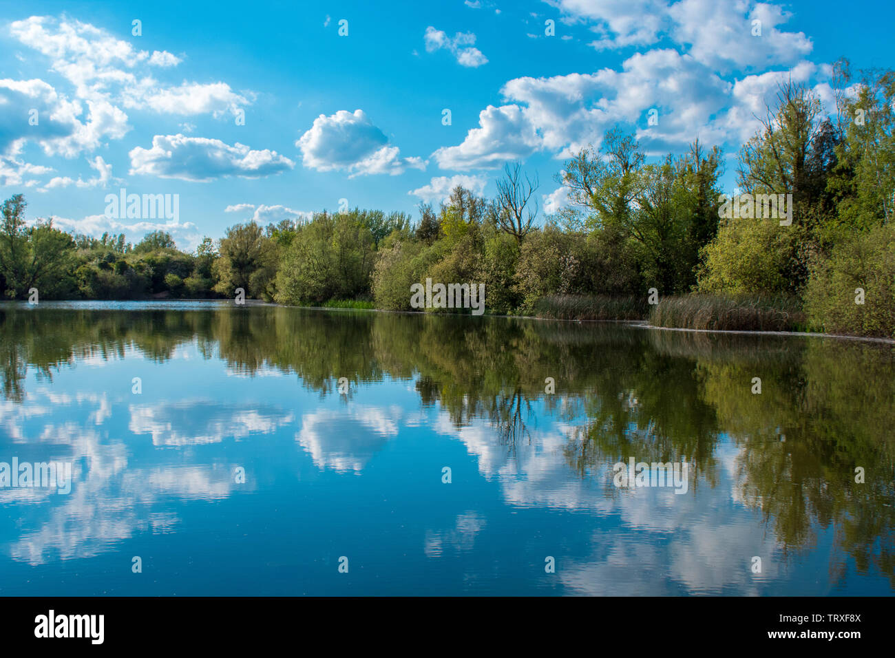 Relfecting hi-res stock photography and images - Alamy