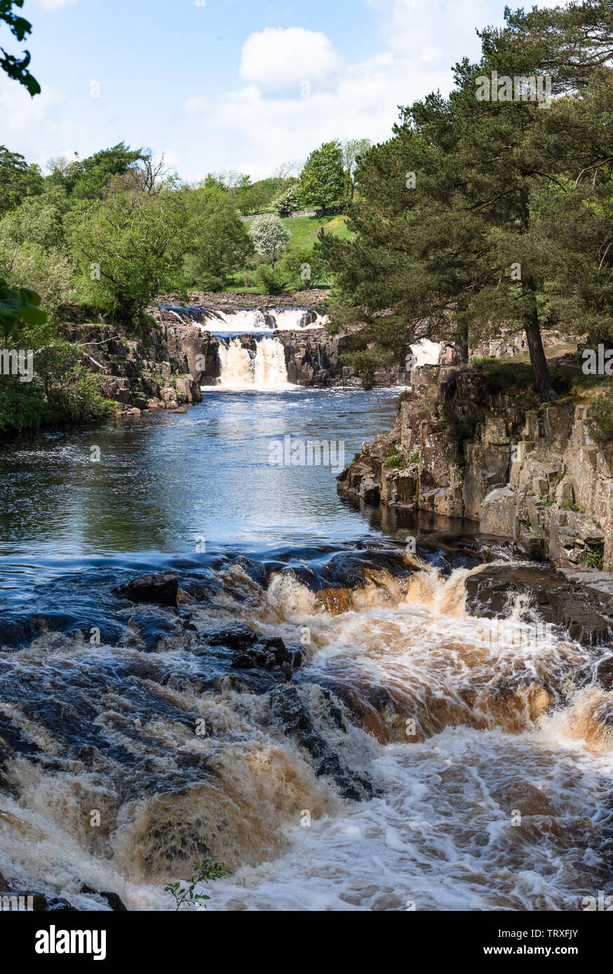 Fow Force waterfalls in early summer Stock Photo - Alamy