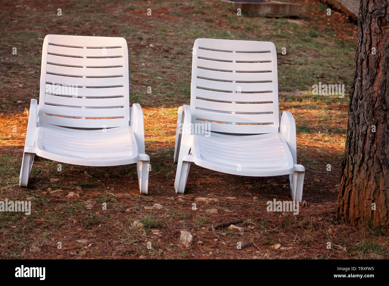 Exotic beach on mediterranean sea, white plastic sunbeds for sunbathing ...