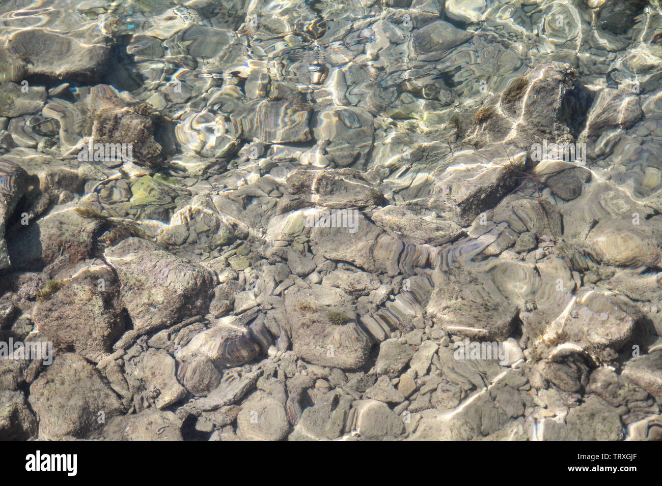 Background water, surface of sea on rocks, close up. Reflection of sun ...