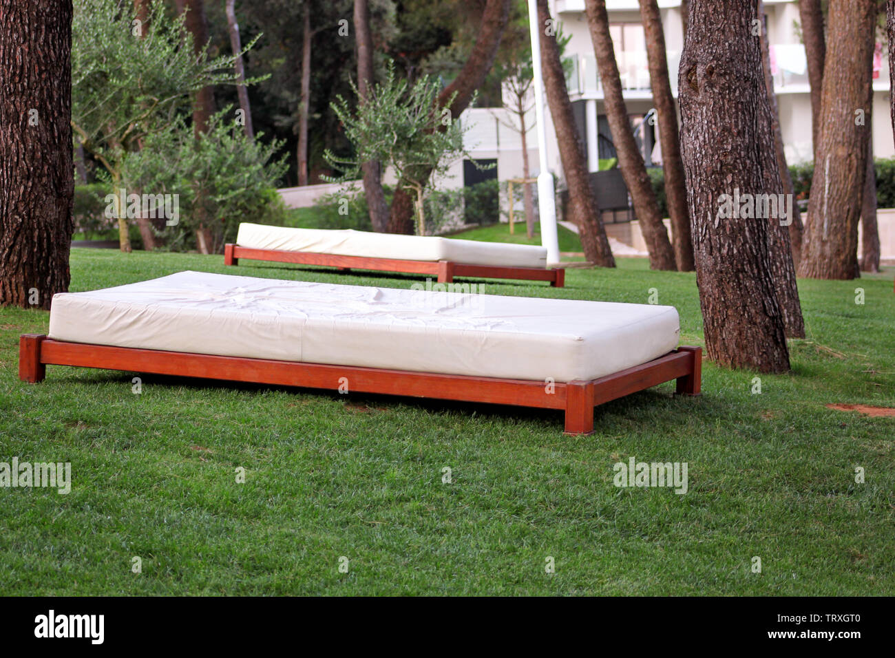 Comfortable white sun beds for sunbathing on grass, relax in tropical ...