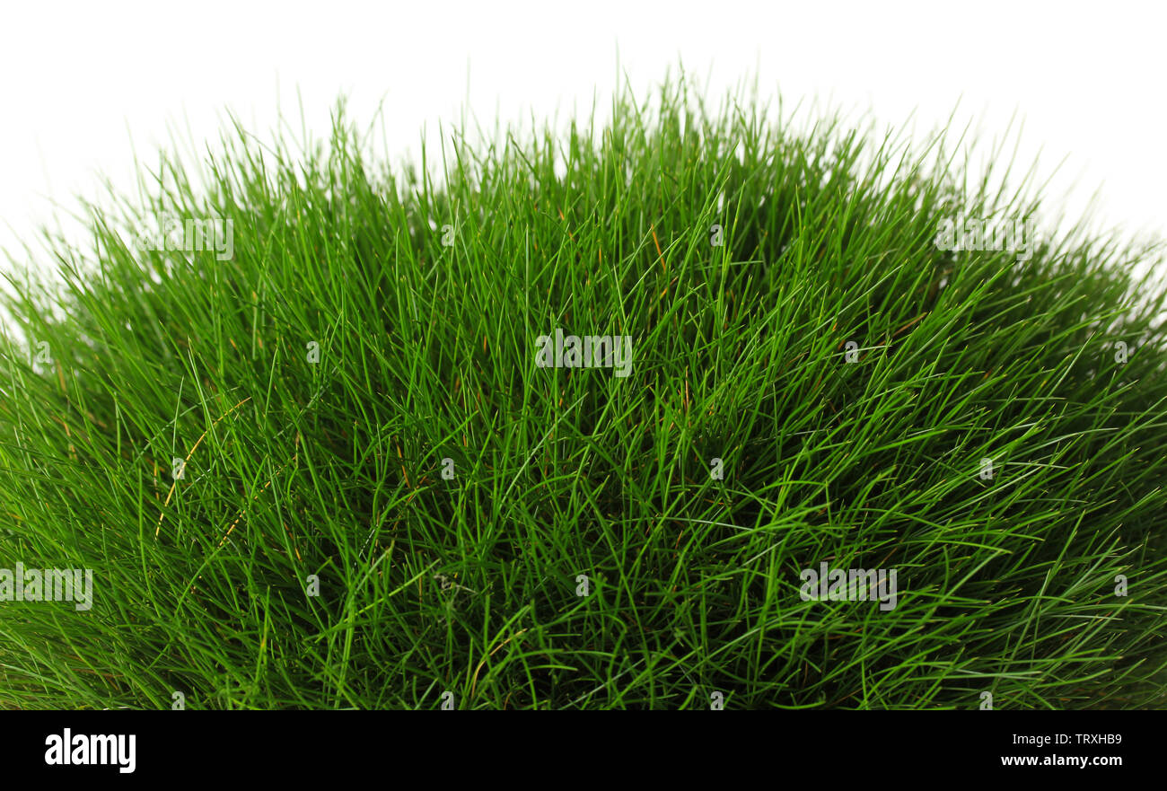 Beautiful green grass, isolated on white Stock Photo - Alamy