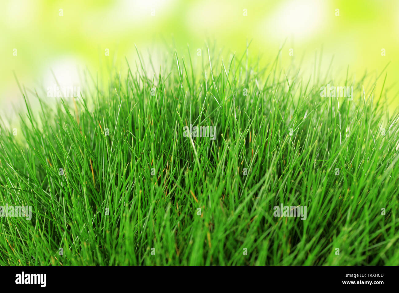 Beautiful green grass on nature background Stock Photo - Alamy