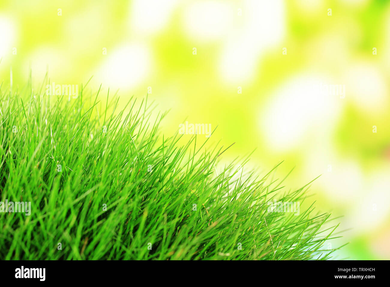 Beautiful green grass on nature background Stock Photo - Alamy