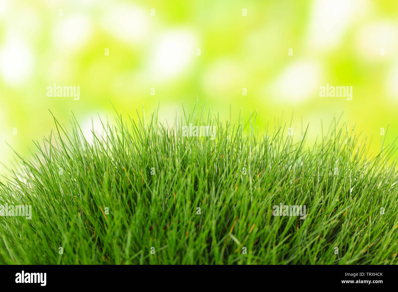 Beautiful green grass on nature background Stock Photo - Alamy