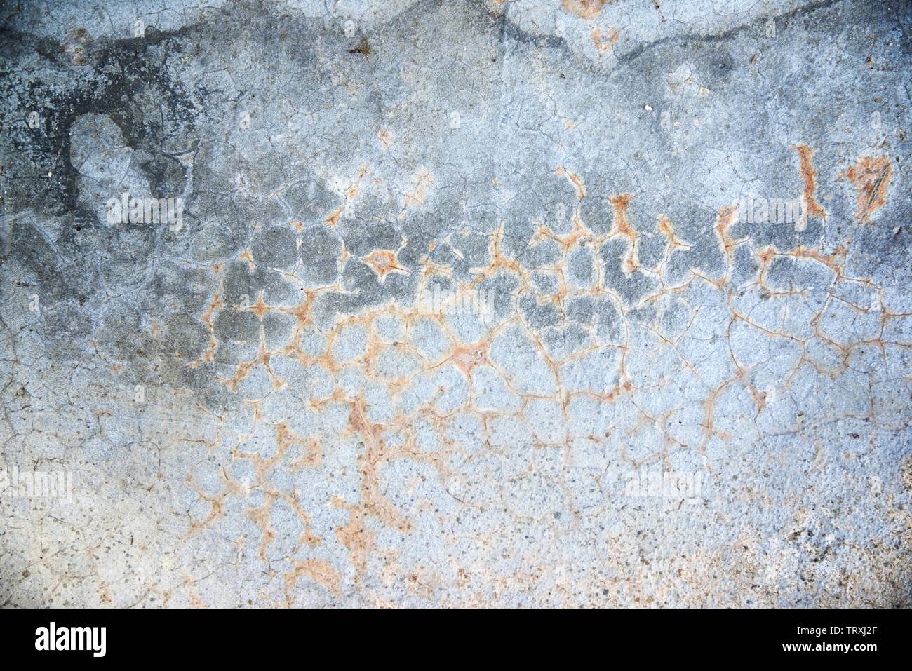 Concrete background close up at high resolution Stock Photo - Alamy