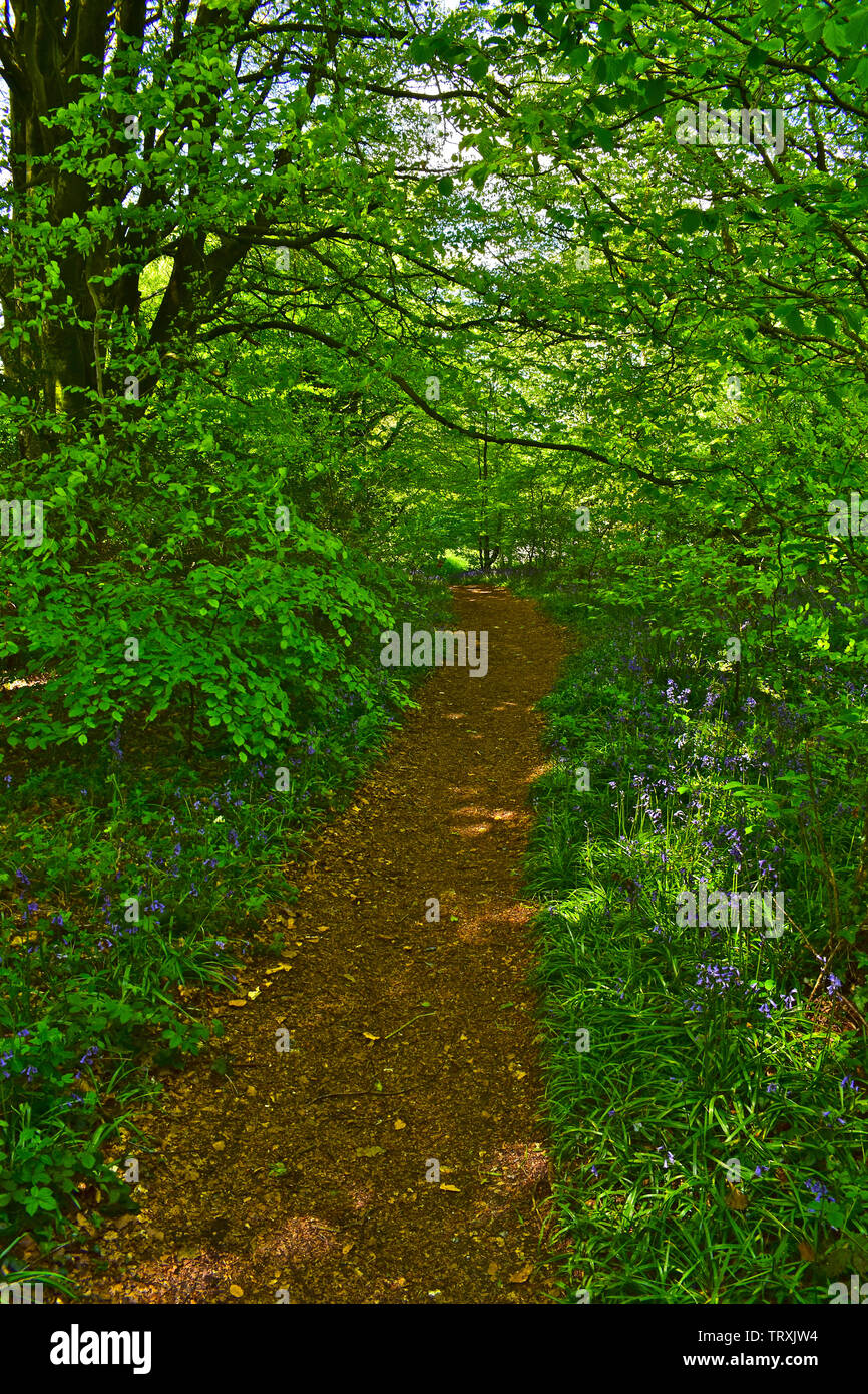 Cool caravan hi-res stock photography and images - Alamy
