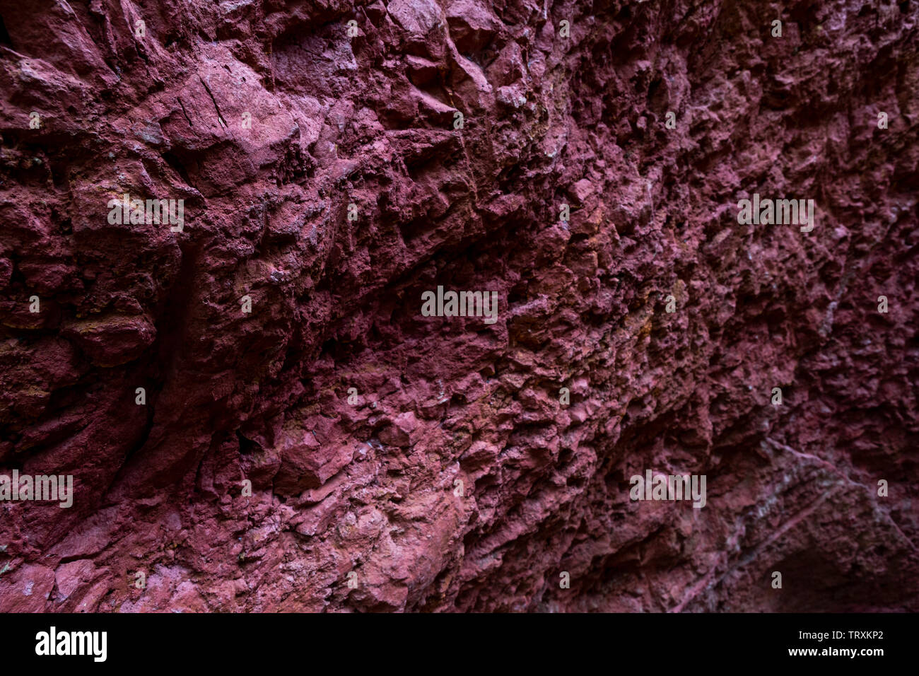 Threshold by Natasha Rosling part of the Forest of Dean Sculpture Trail ...