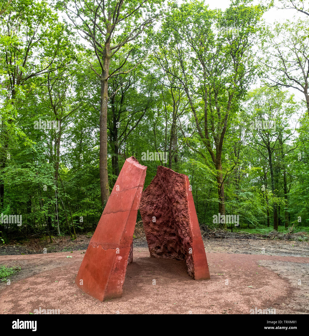 Threshold by Natasha Rosling part of the Forest of Dean Sculpture Trail ...