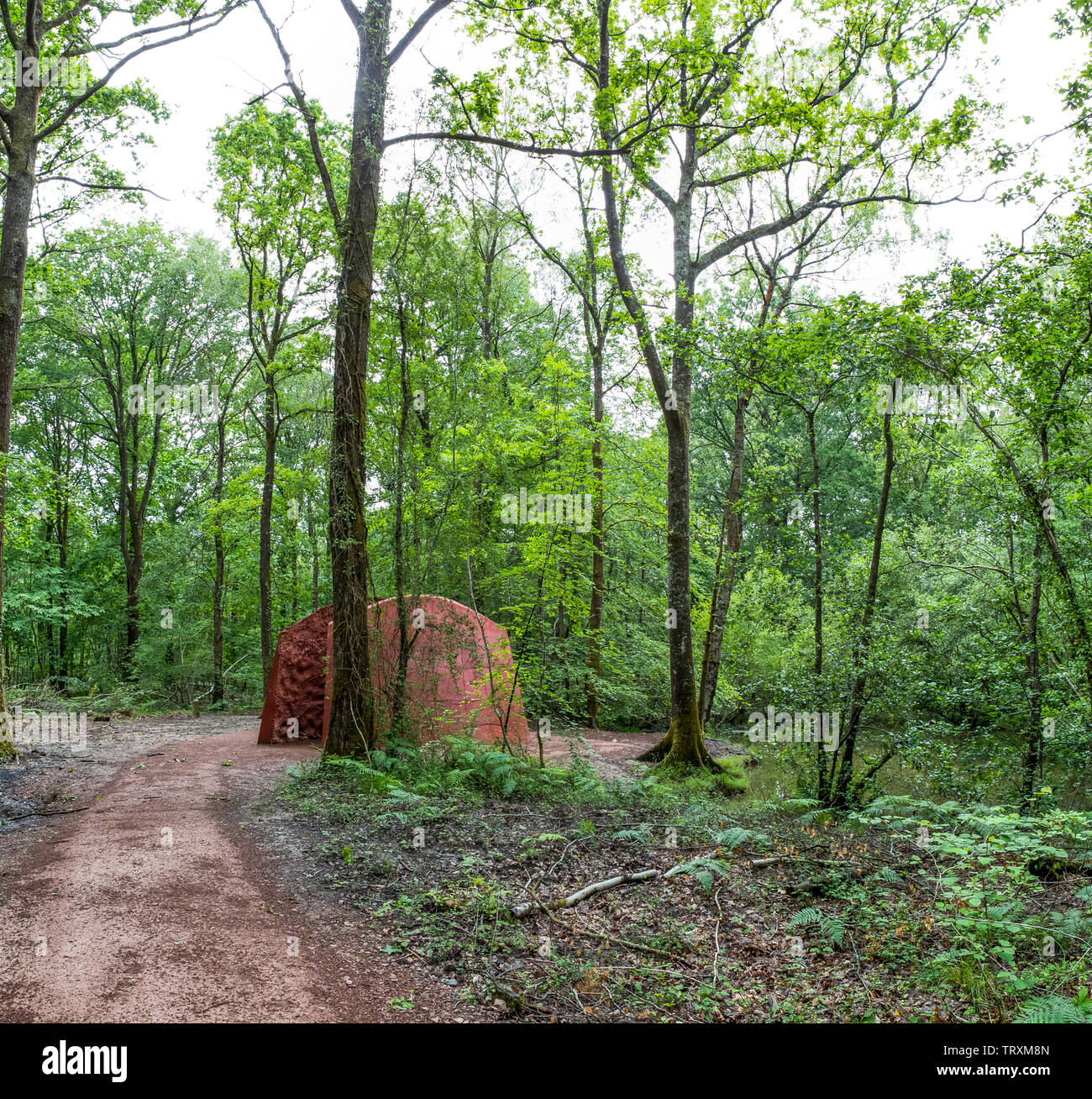 Threshold by Natasha Rosling part of the Forest of Dean Sculpture Trail ...