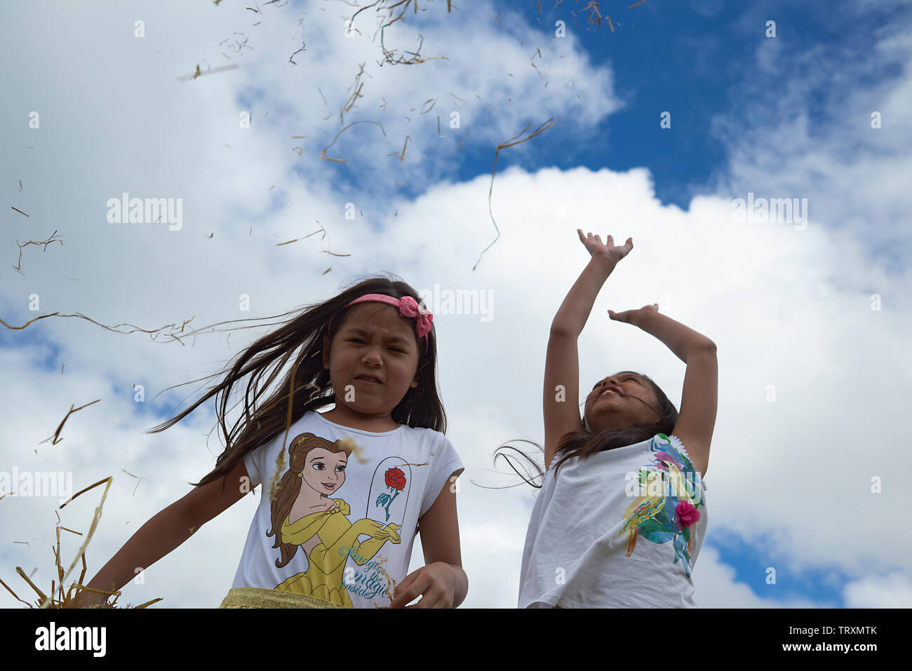 Kids playing on top of a haystack and throwing around the hay in summer ...