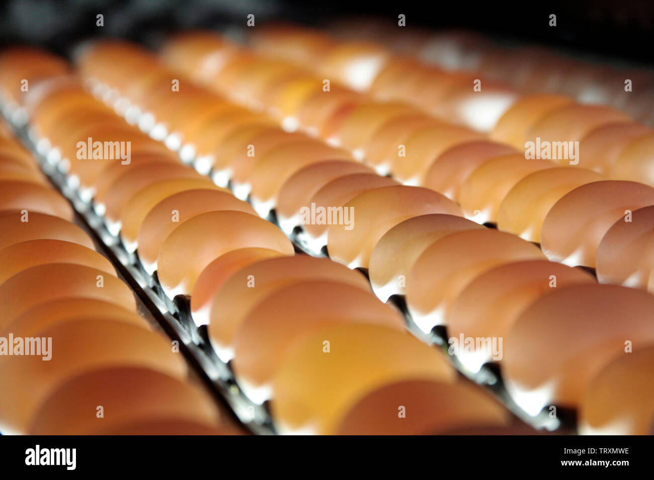 Egg packing machine hi-res stock photography and images - Alamy