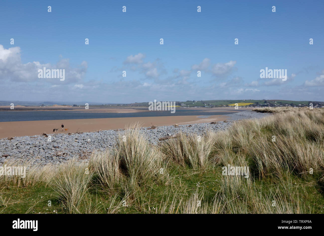 View up the Taw Torridge Estuary from Northam Burrows, Devon, England ...