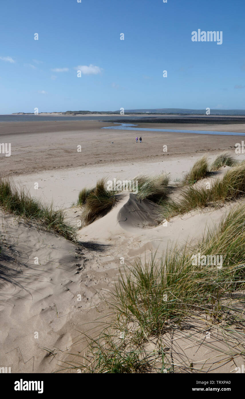 Looking out from Instow Sands across River Taw to Braunton Burrows ...