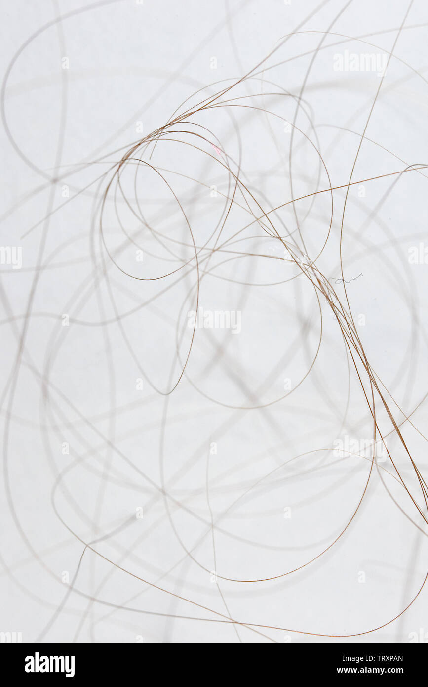 Strands of human hair on a white background Stock Photo - Alamy