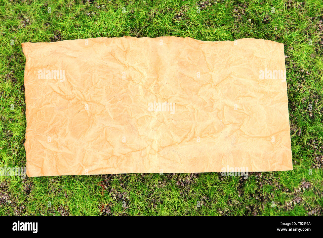 Old paper on green moss background Stock Photo - Alamy