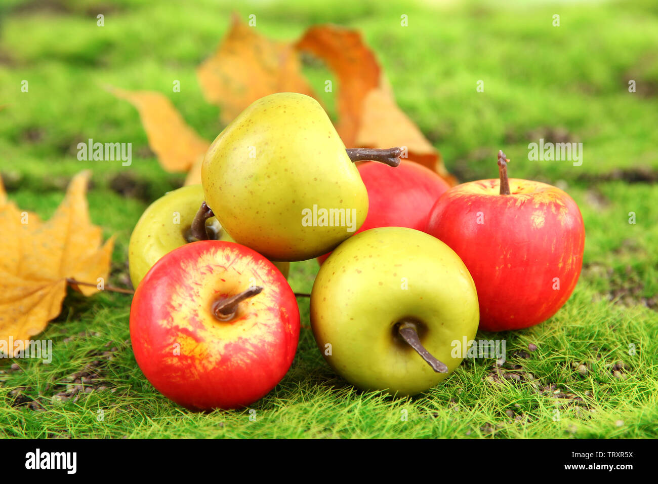 Small apples on nature moss background Stock Photo - Alamy