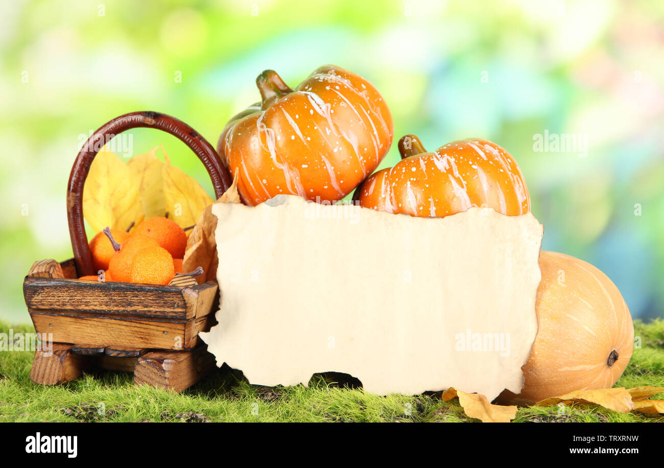 Autumn composition on nature background Stock Photo - Alamy
