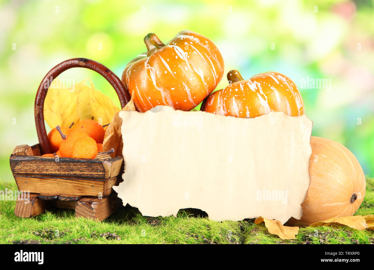 Autumn composition on nature background Stock Photo - Alamy