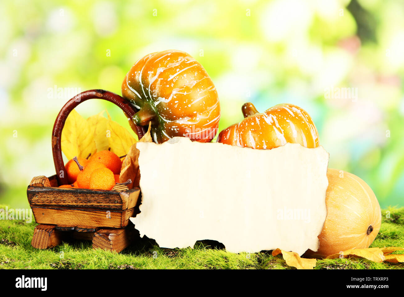 Autumn composition on nature background Stock Photo - Alamy
