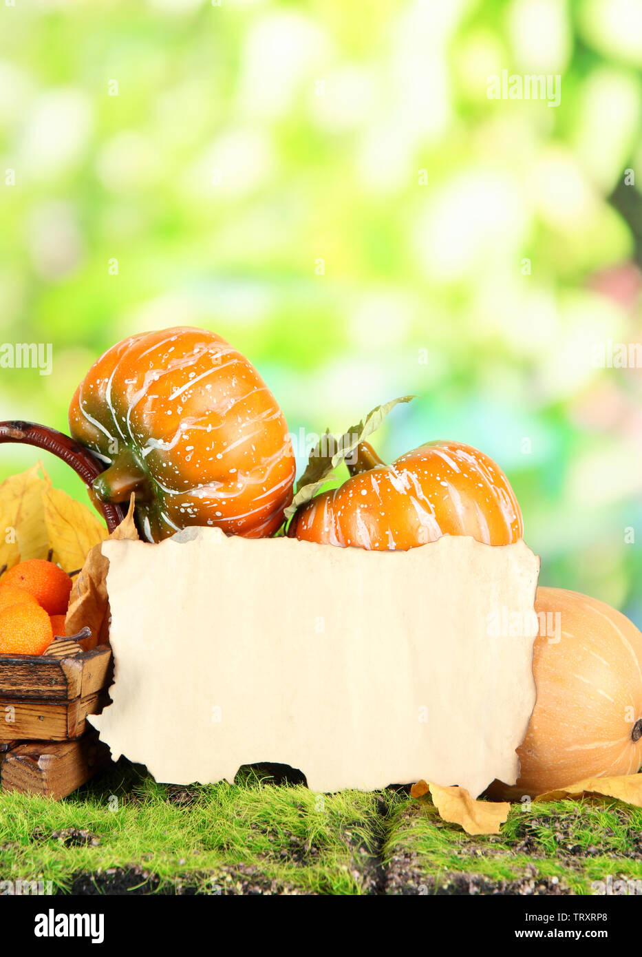 Autumn composition on nature background Stock Photo - Alamy