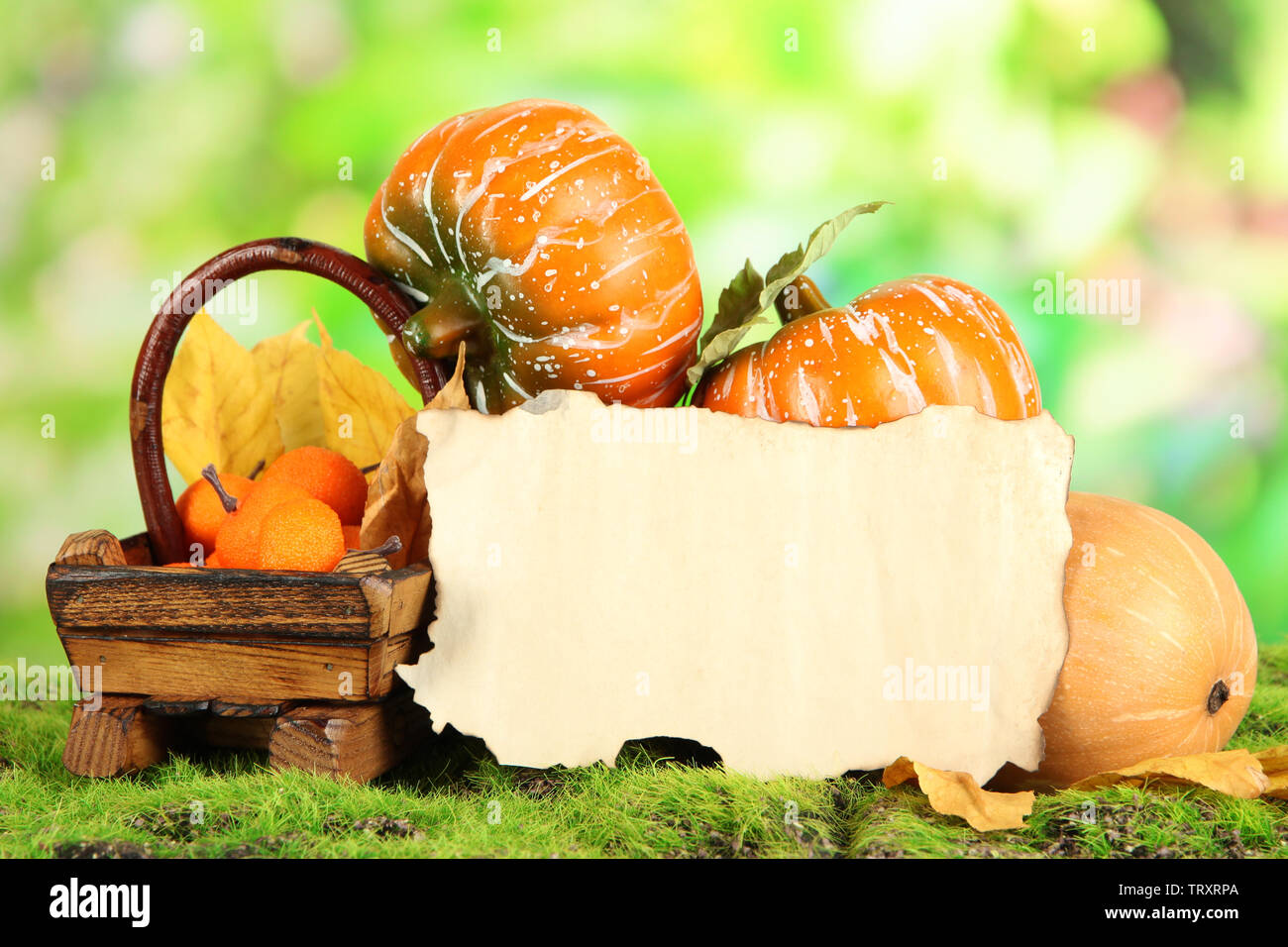Autumn composition on nature background Stock Photo - Alamy