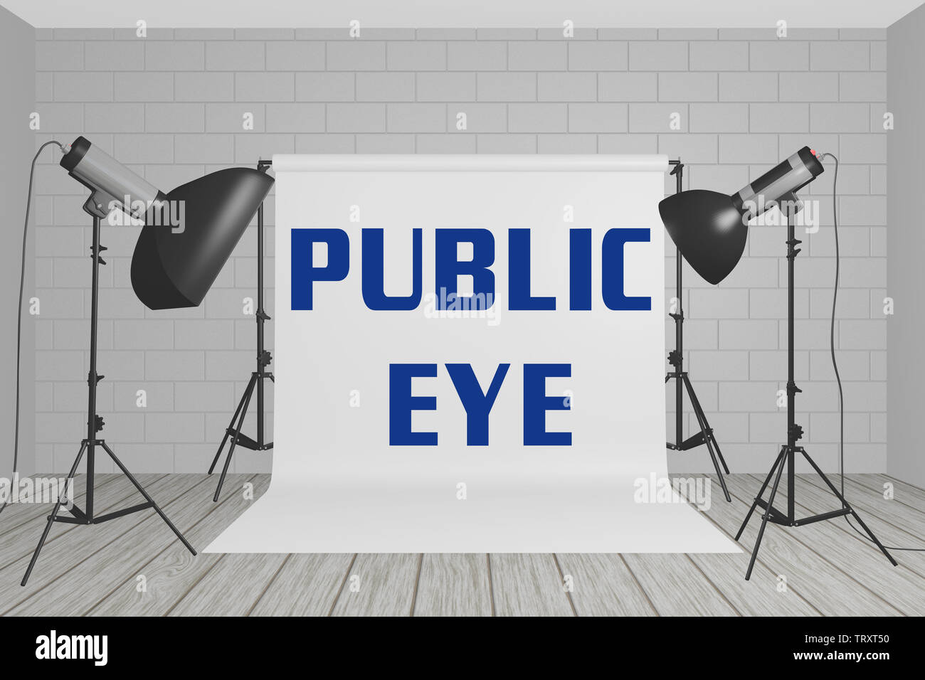 3D illustration of PUBLIC EYE title on a white screen in a photographic ...
