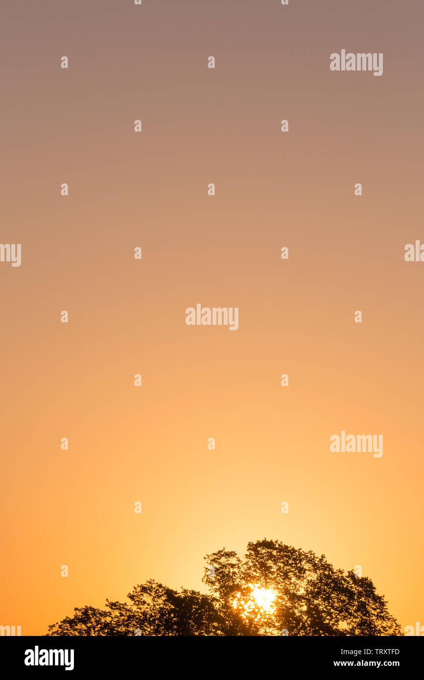 landscape with sun rising behind tree Stock Photo - Alamy
