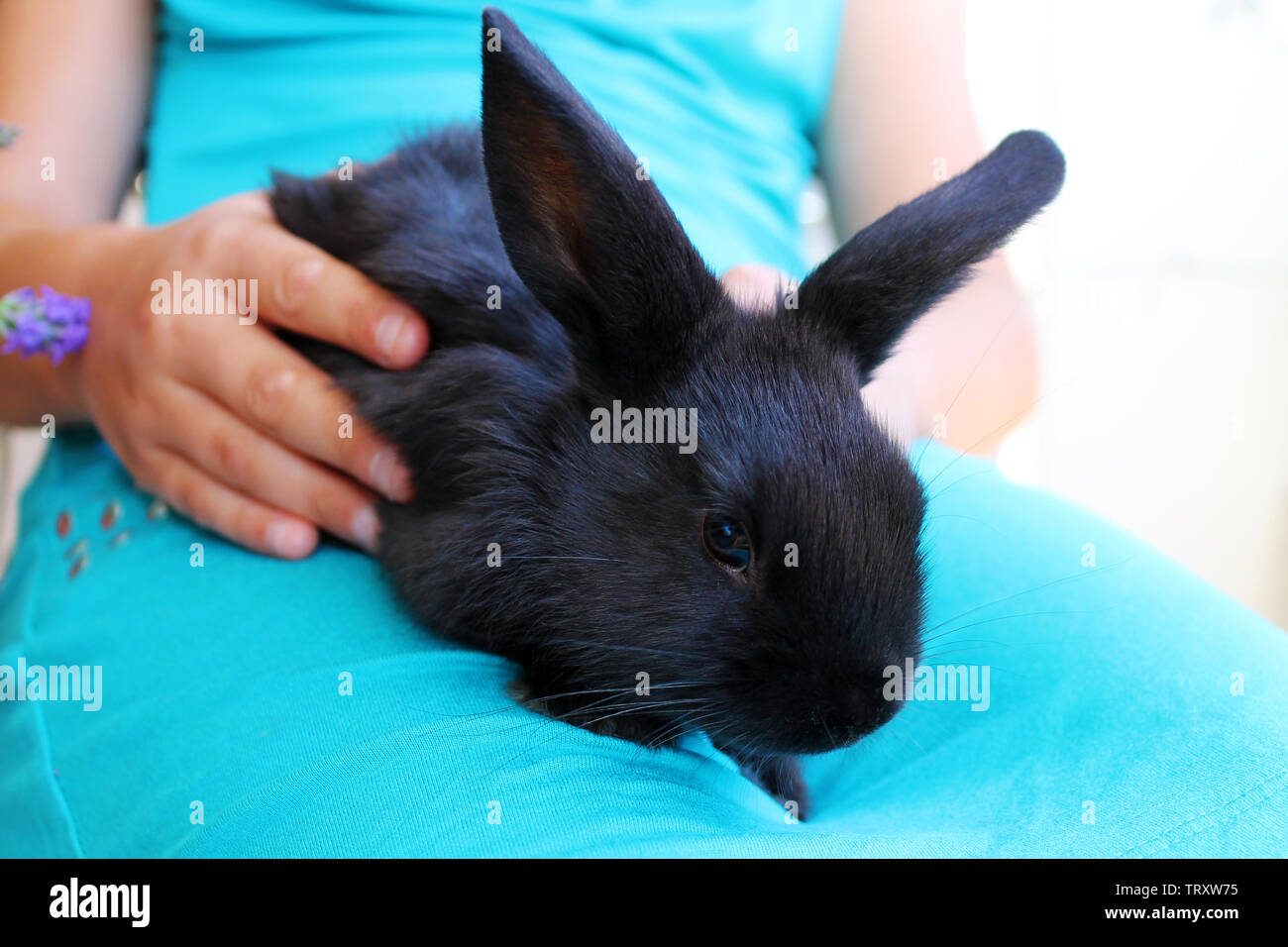 Black romantic girl friend hug hi-res stock photography and images - Alamy