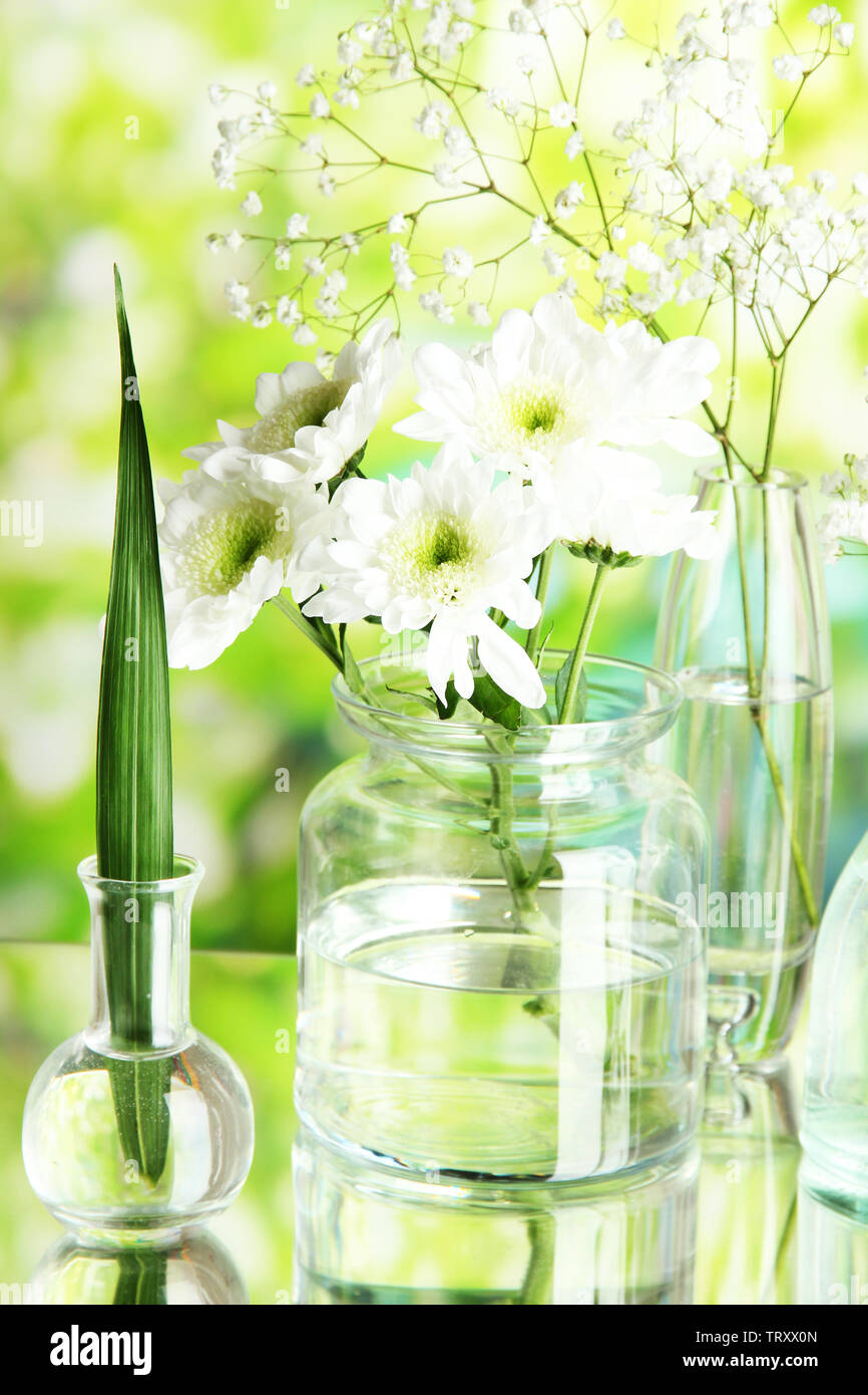 Plants in various glass containers on natural background Stock Photo ...