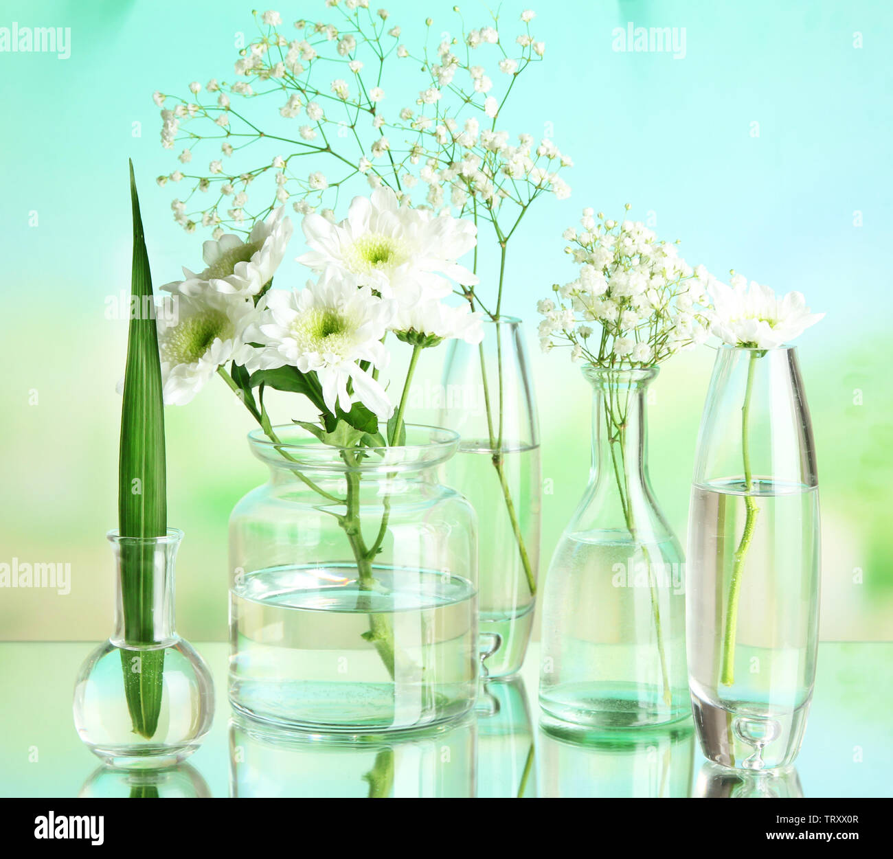 Plants in various glass containers on natural background Stock Photo ...