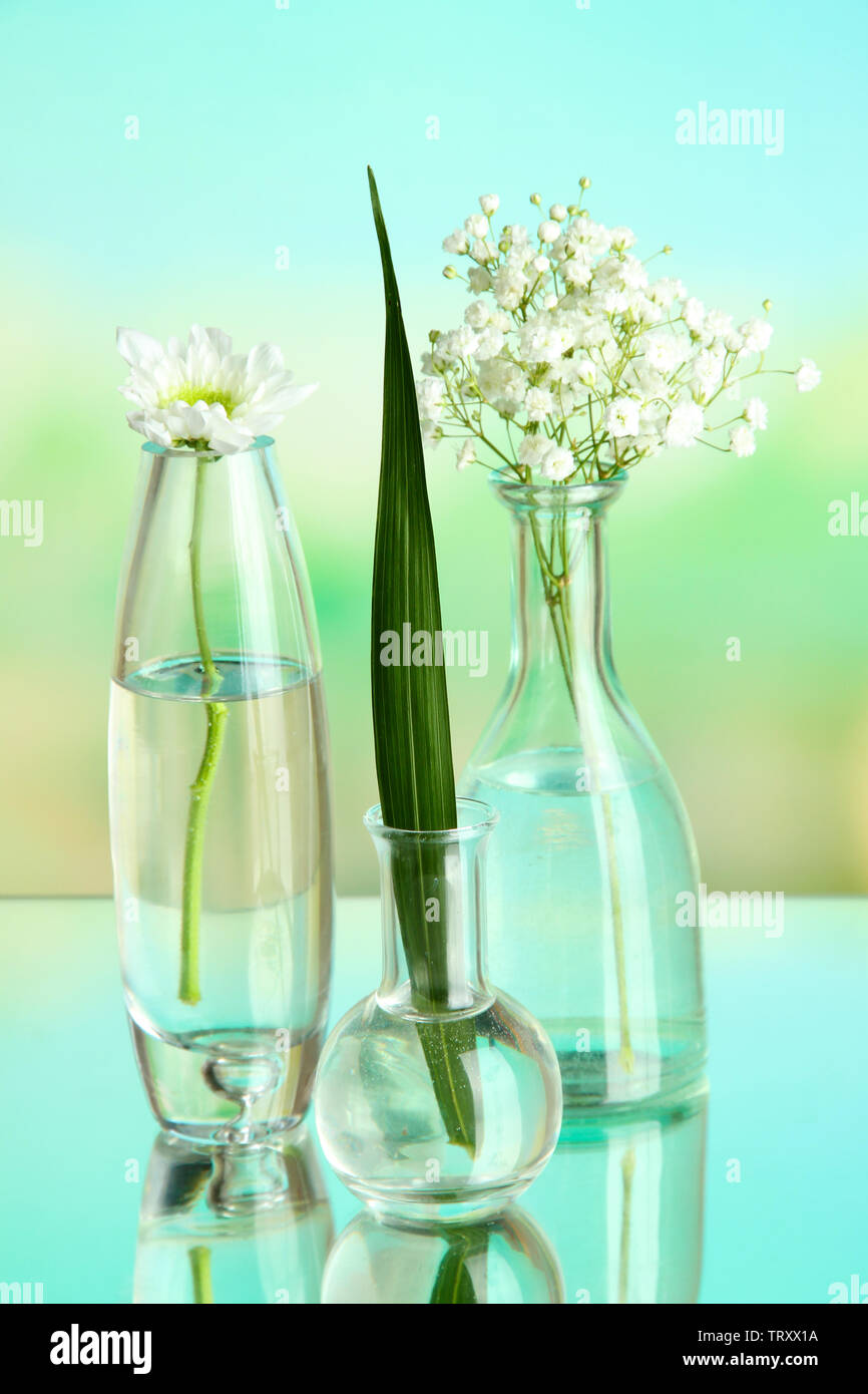 Plants in various glass containers on natural background Stock Photo ...