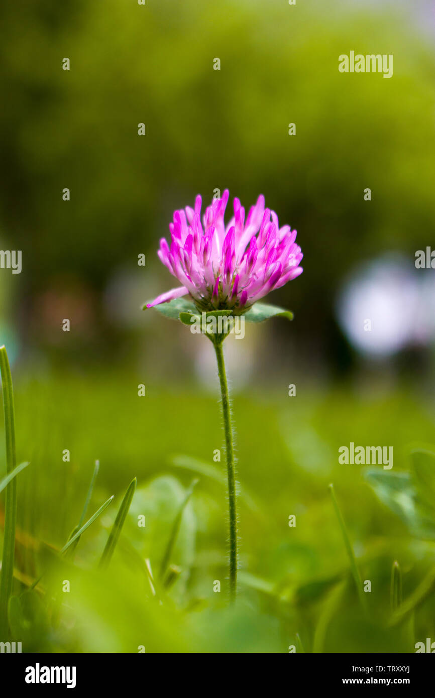 Kkh Road High Resolution Stock Photography and Images - Alamy