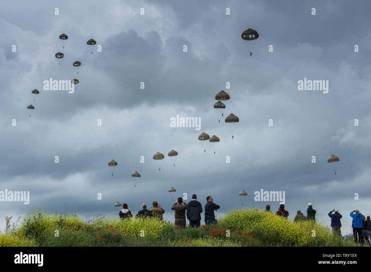 Ww2 normandy parachute hi-res stock photography and images - Alamy
