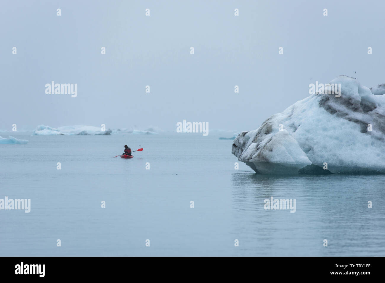 Guy kayaking among melting icebergs floating in Jokulsarlon glacial ...