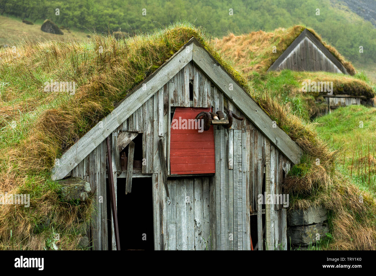 Abandoned historic turf house farm buildings in Nupsstadur, Iceland ...
