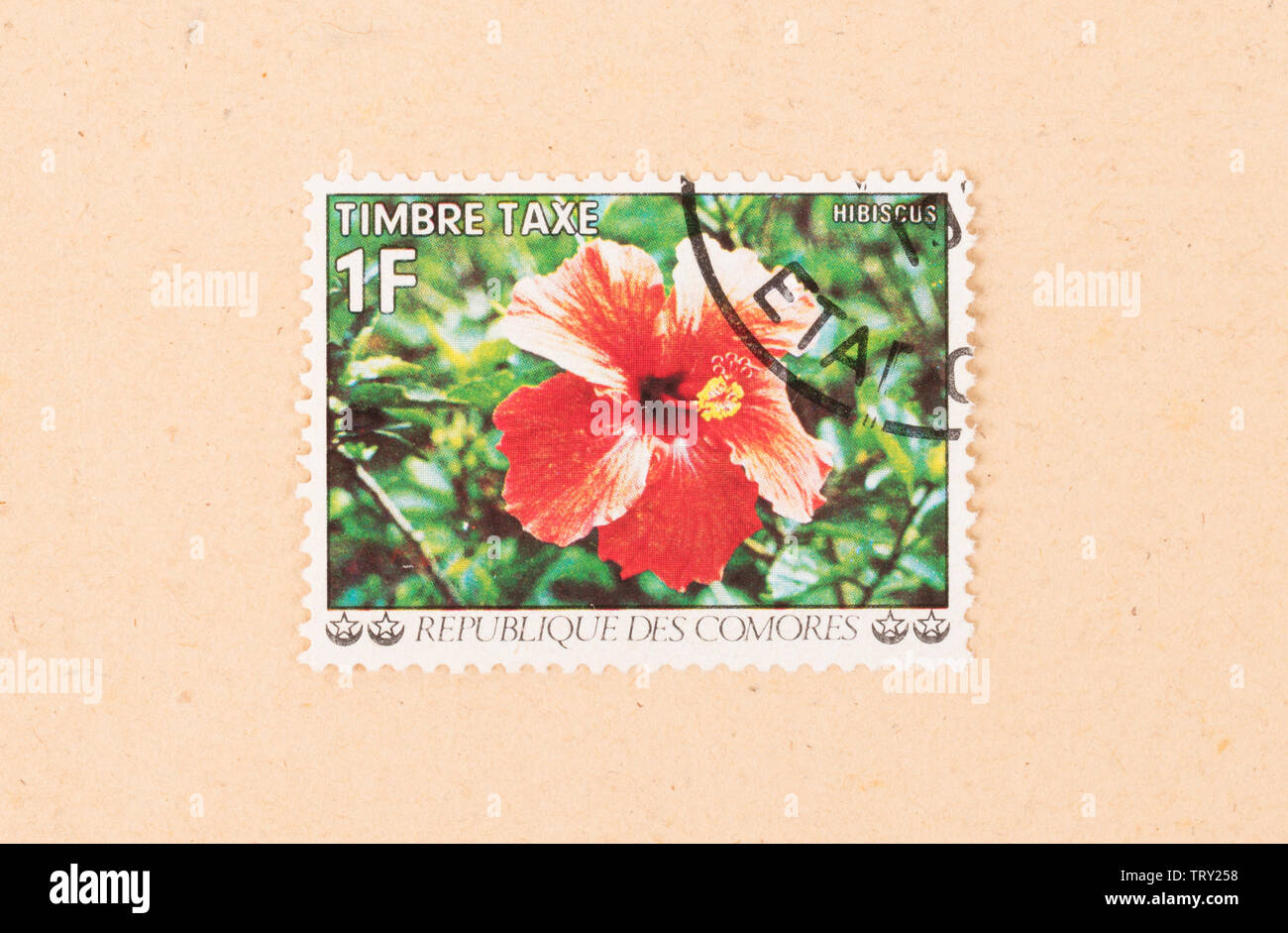 COMOROS - CIRCA 1980: A stamp printed in the Comoros islands shows a ...