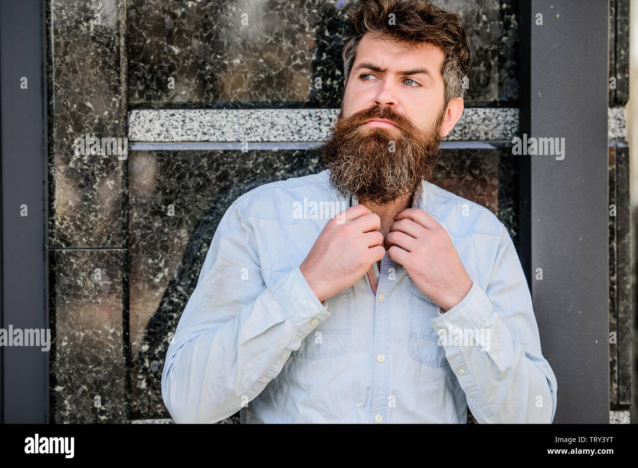 Barber concept. Beard grooming. Beard care. Masculinity and manliness ...