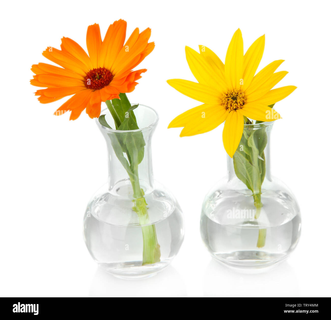 Flowers in test-tubes isolated on white Stock Photo - Alamy