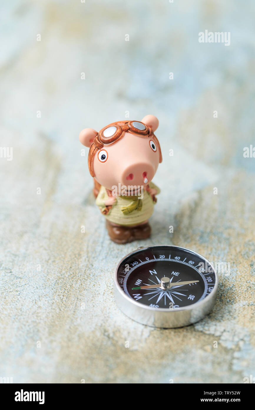 Piglet doll with compass Stock Photo - Alamy