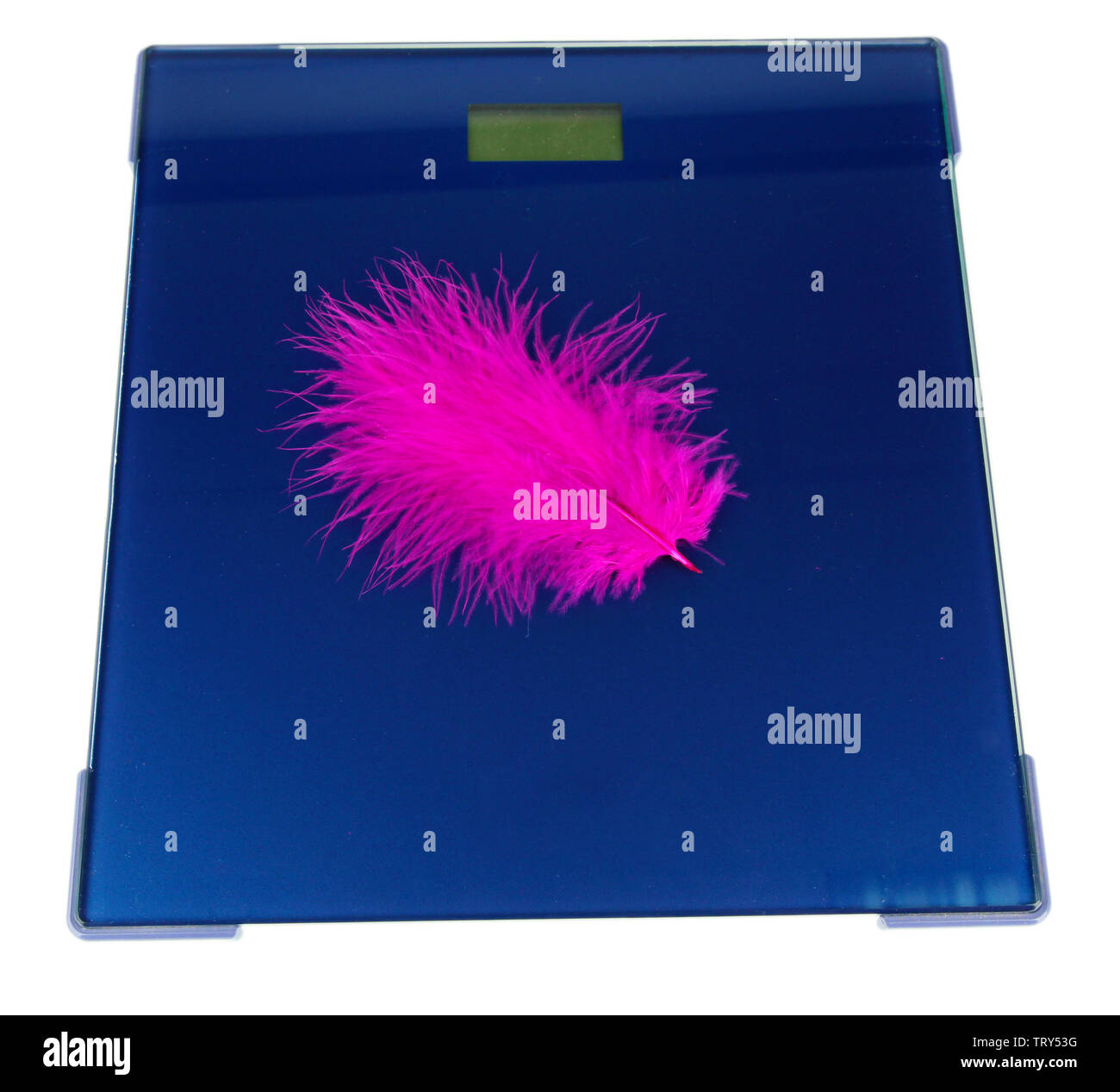 Feather on scales isolated on white Stock Photo - Alamy