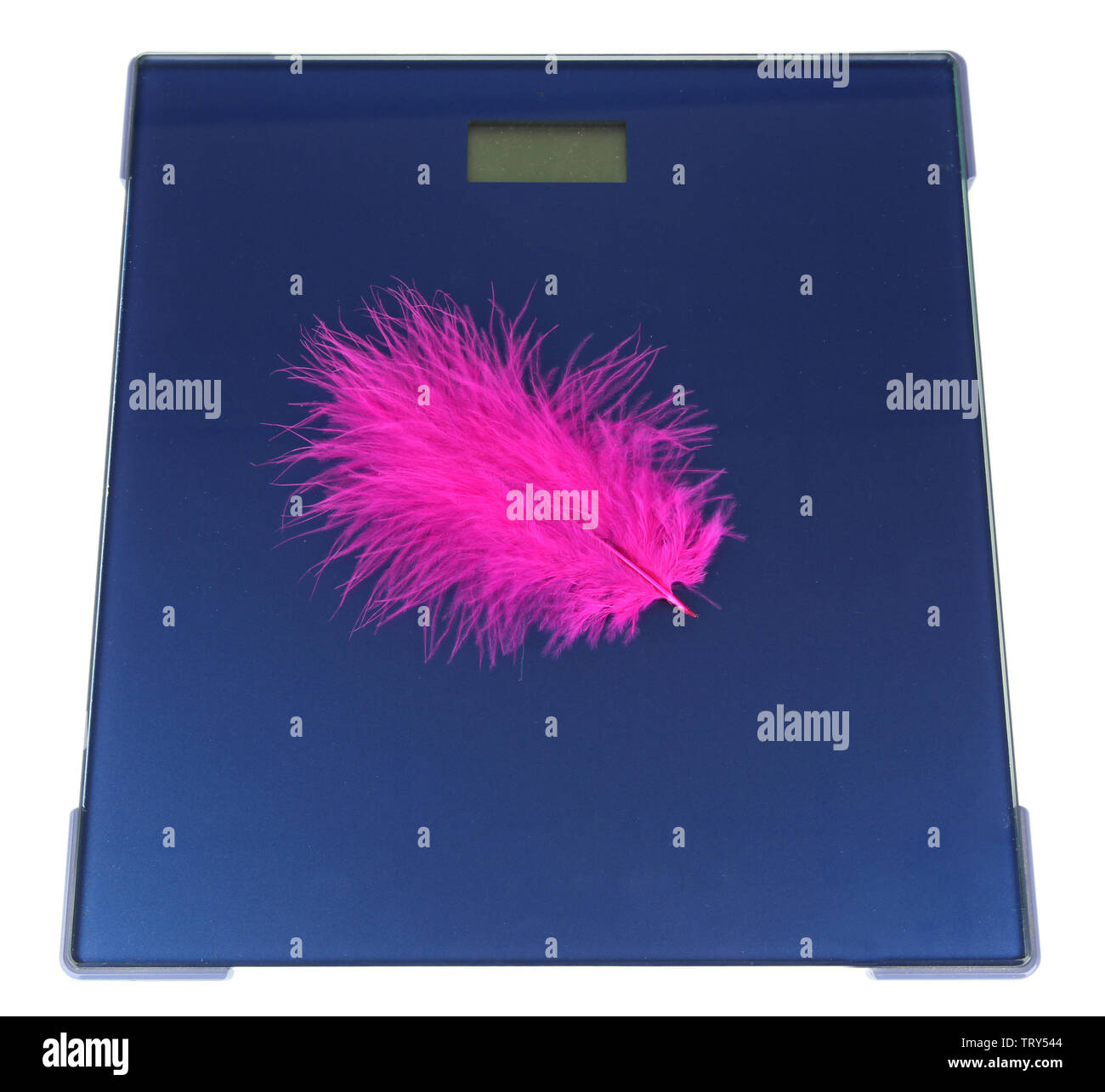 Feather on scales isolated on white Stock Photo - Alamy