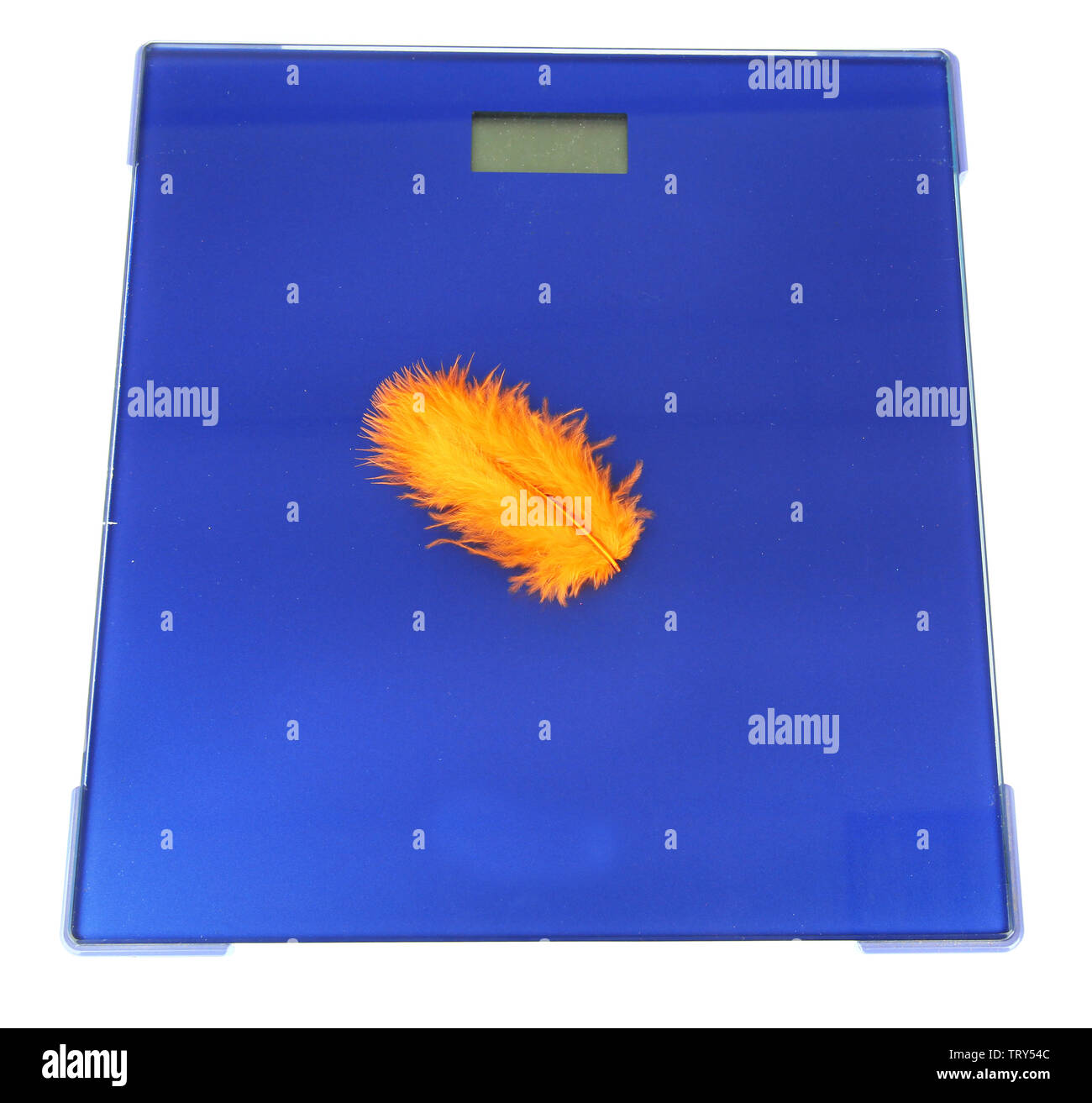 Feather on scales isolated on white Stock Photo - Alamy