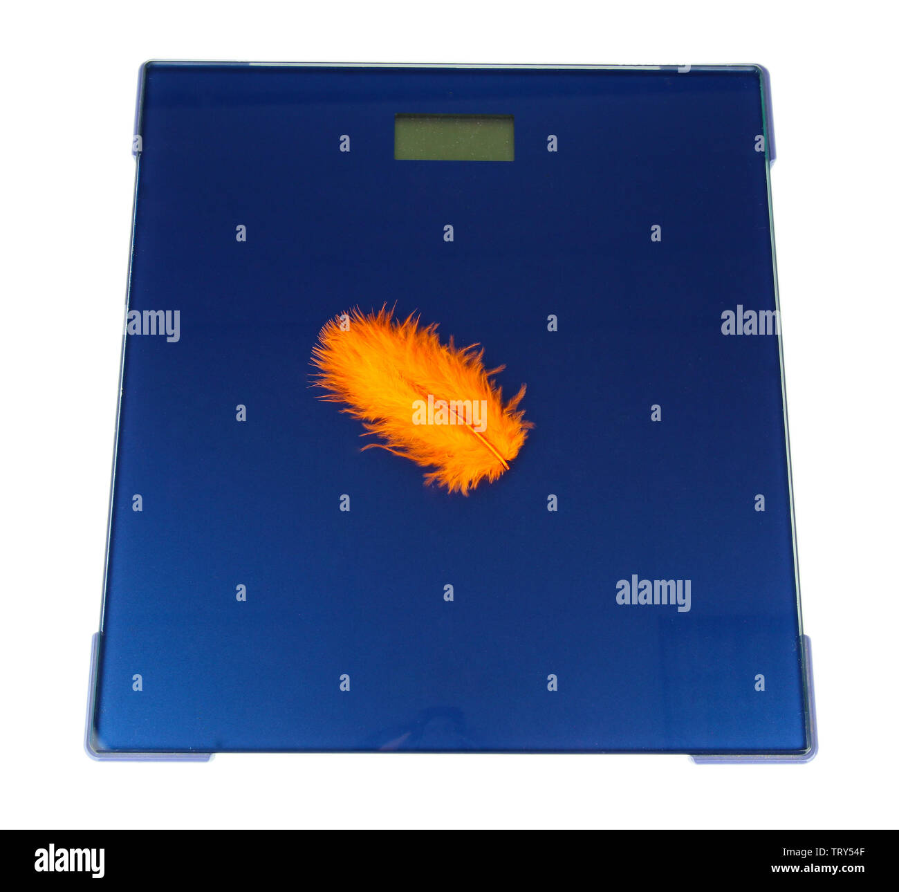 Feather on scales isolated on white Stock Photo - Alamy