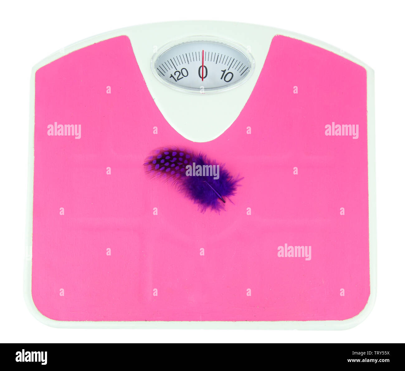 Feather on scales isolated on white Stock Photo - Alamy