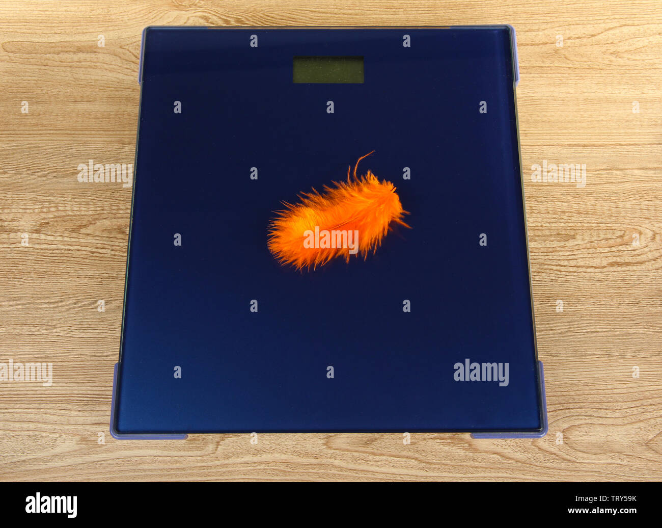 Light feather scales hi-res stock photography and images - Alamy